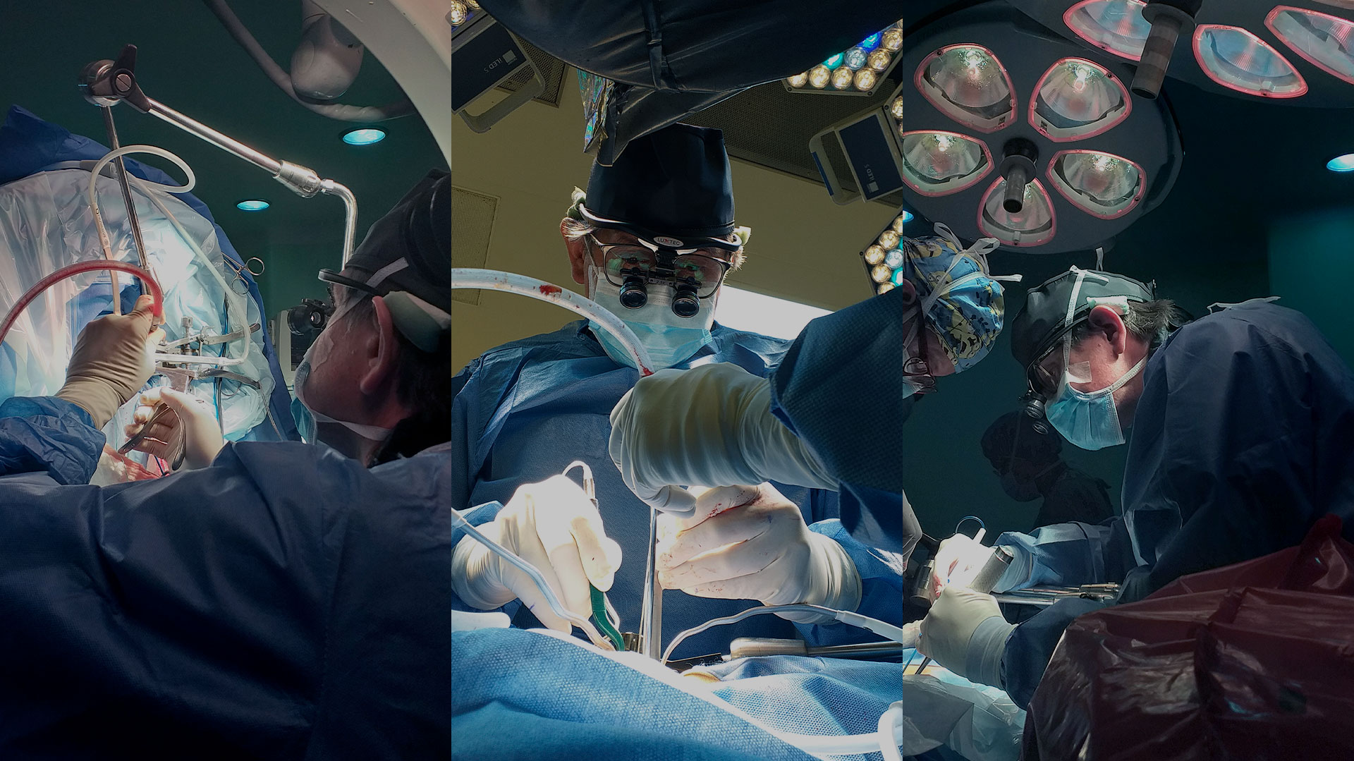 Bio – Dr. Radovan Sancevic